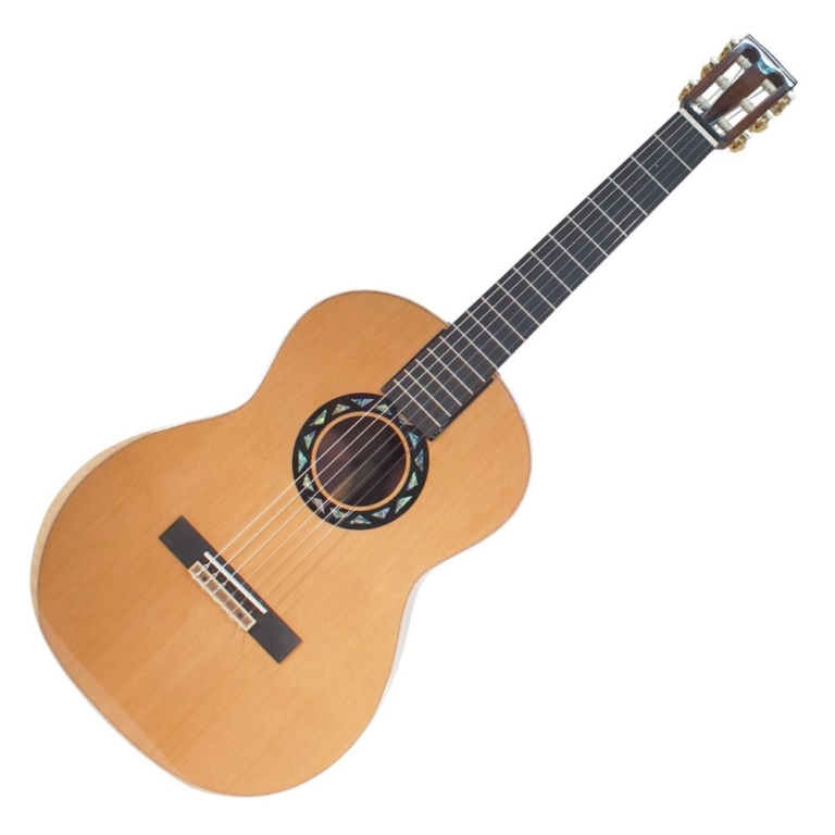 Solid Cedar / Pau Ferro Classical Travel Guitar - OC520 - Journey ...