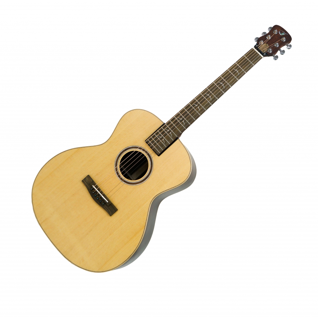 Solid Sitka Pau Ferro GA - FF422 - Journey Instruments Travel Guitars